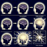 Neuron Activation Meme: Kulturelle Gehirnschätze - wortartensemble.de